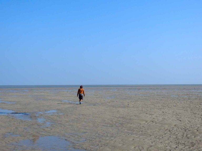 Narara Marine National Park, Jamnagar - Roaming Owls